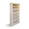 Palisades Bookcase